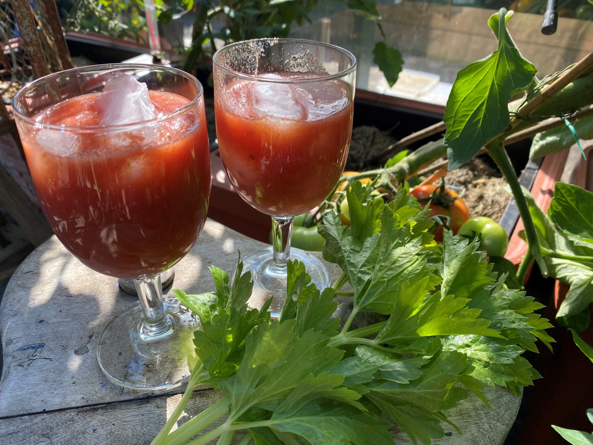 Småspicy tomatjuice - Drivhusetmitt